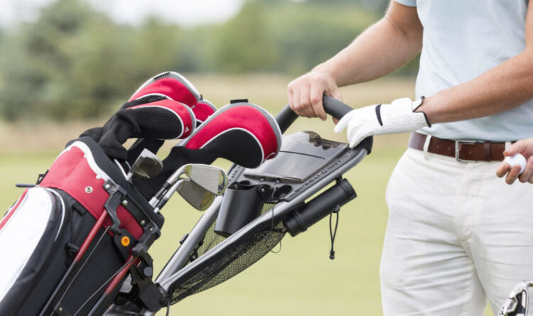 Leisure Machine Motors | Parvalux Electric Motors