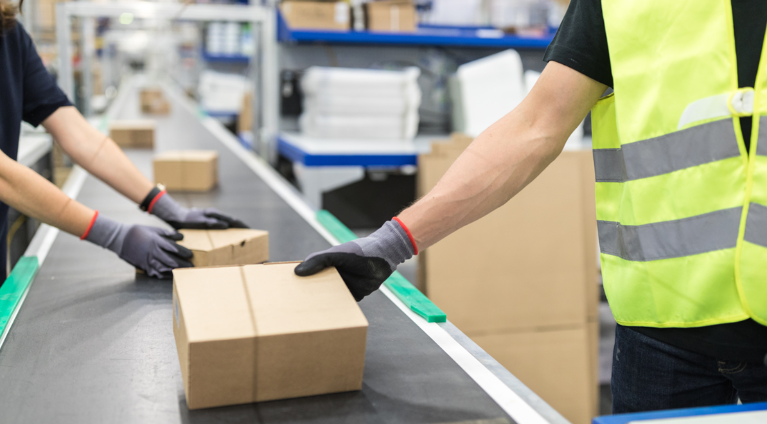 The Role of Conveyor Systems in Warehouse Logistics - Parvalux