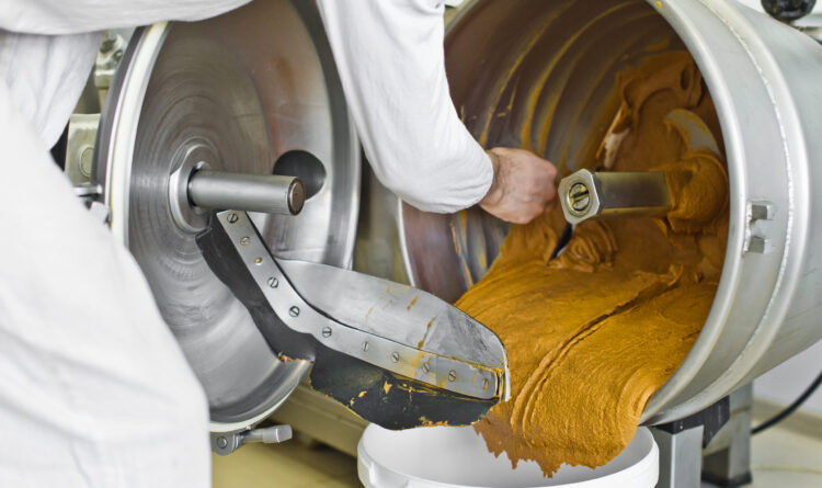 Mixer Motors For Mixing Equipment | Parvalux