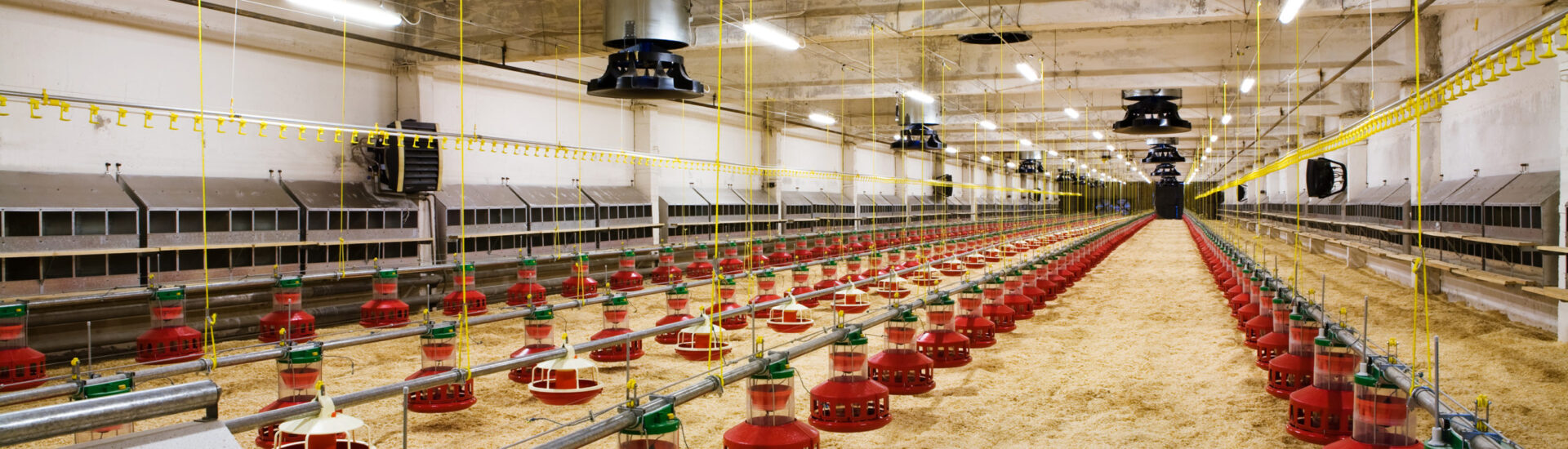 Livestock Ventilation System Motors | Parvalux Motors