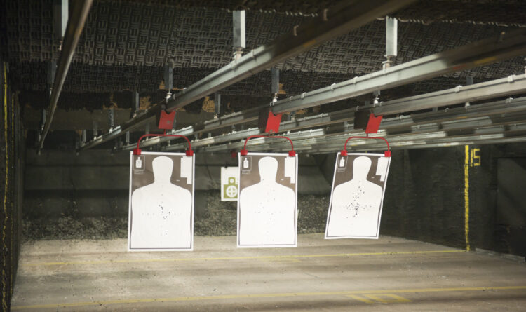 Small Arms Targets Motors | Parvalux Geared Motors